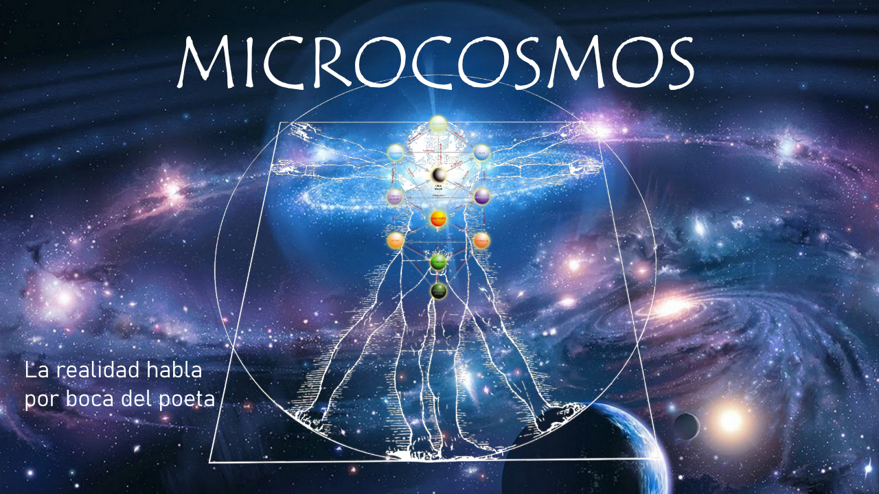 Microcosmos - Medita Barcelona